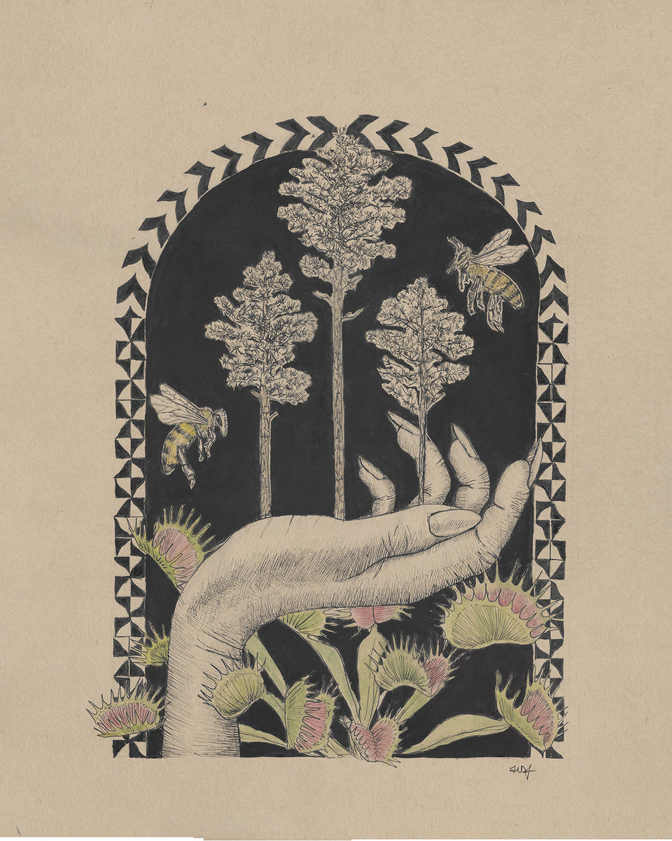 Through Fire, Nature is Reborn Whole by Hilary Dufour – Thumbprint Gallery